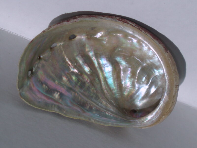 Significado espiritual del nácar - VeronicaChic.com